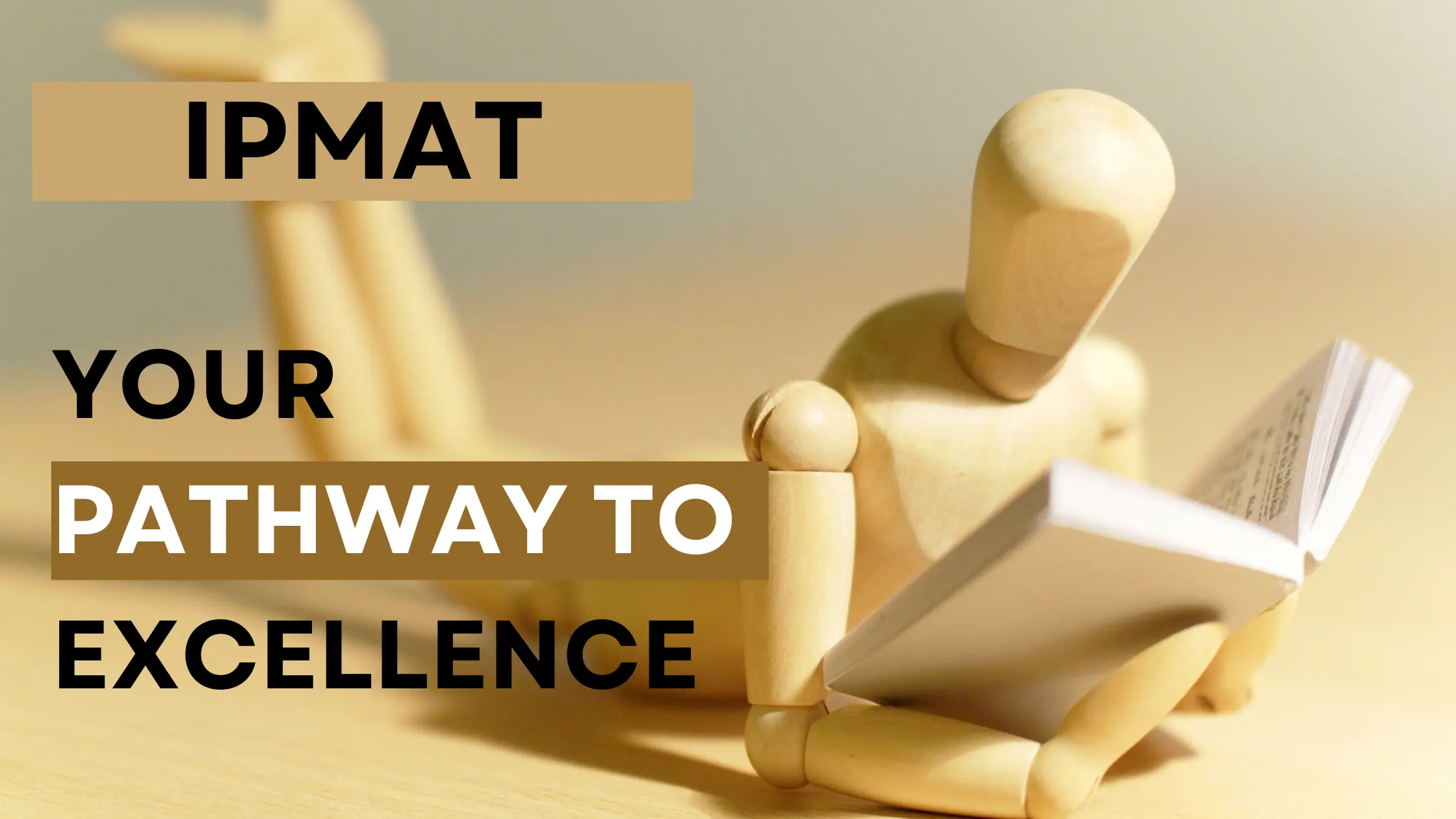Excel with IPMAT: Your Pathway to Excellence